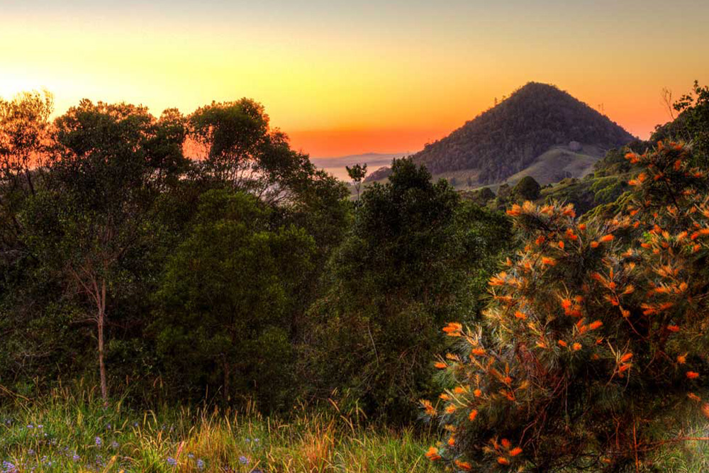 Rosecliffe Tree Tops - Rosecliffe Boutique Farm Cottages
